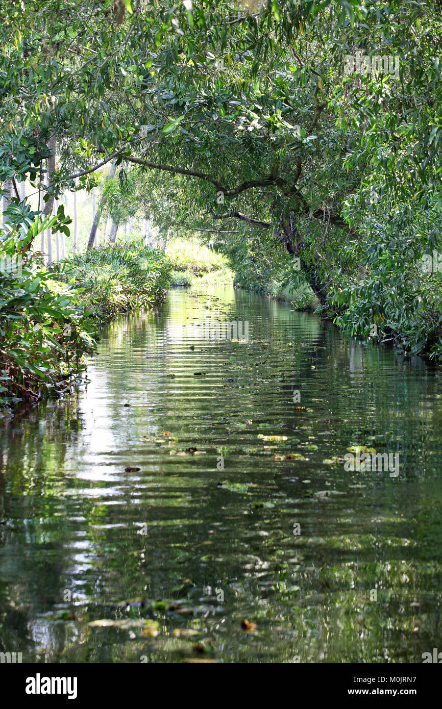 Kerala backwater, India Stock Photo - Alamy