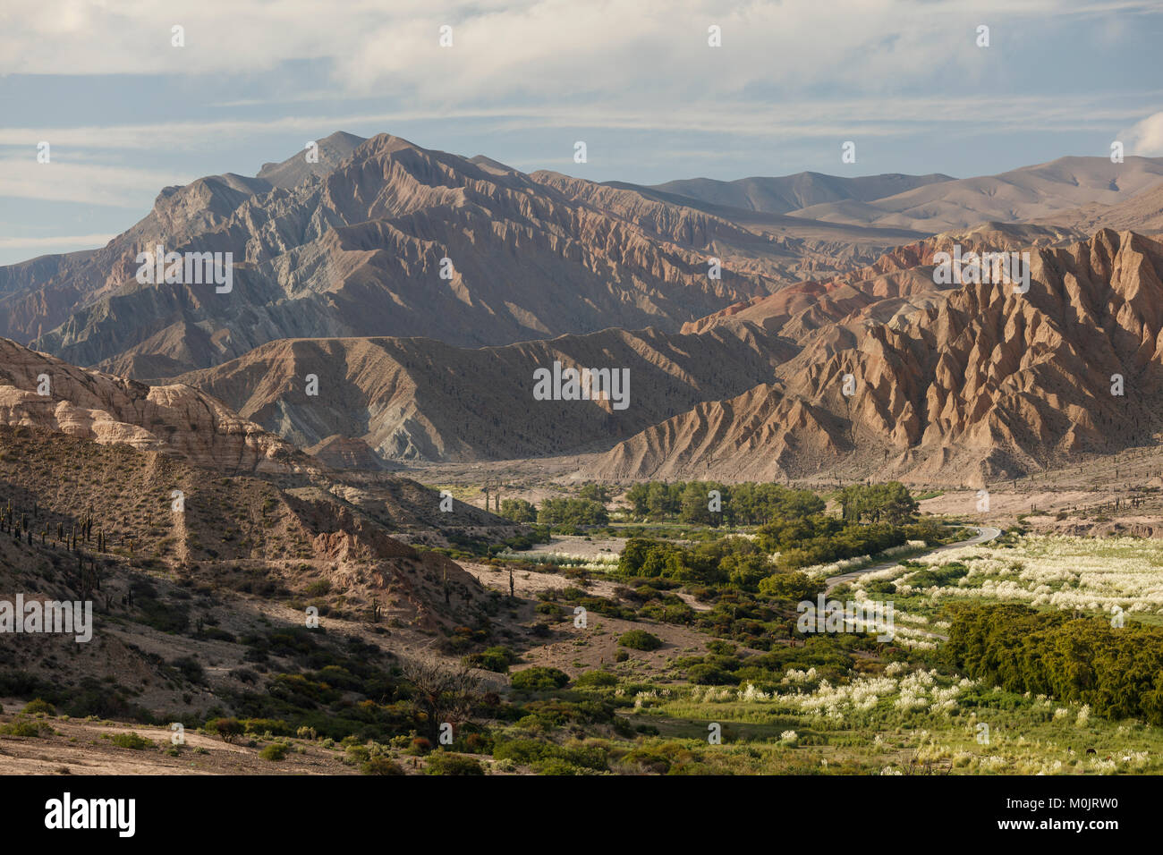 Green valley in bizarre barren mountain landscape, plateau, Cachi ...