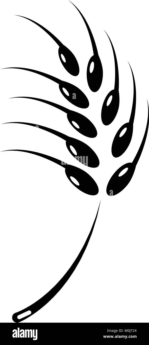 Grainy food Black and White Stock Photos & Images - Alamy