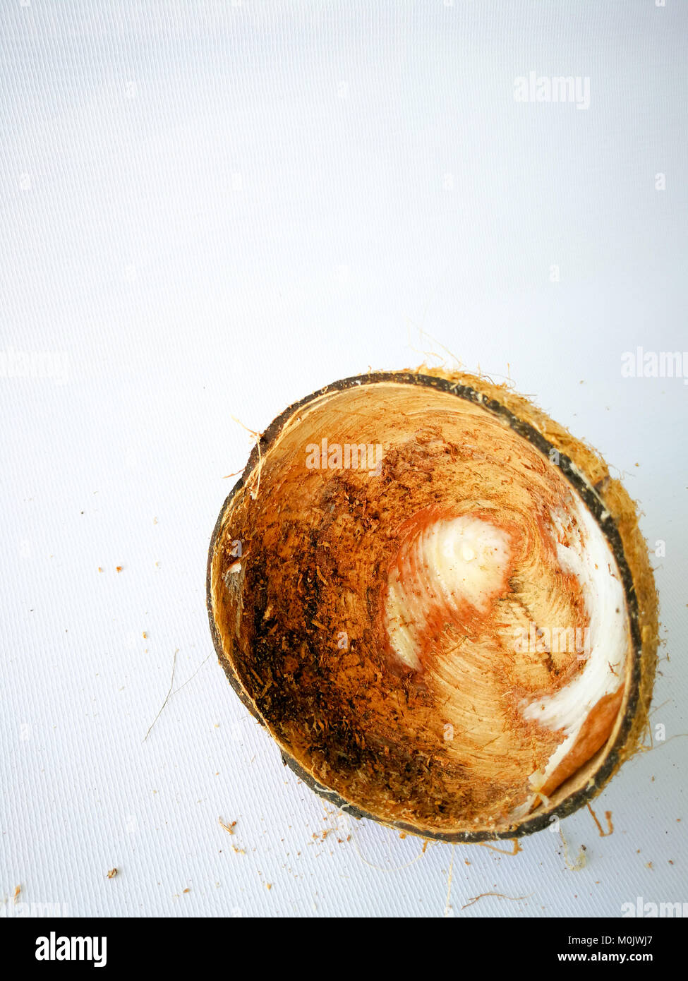coconuts shell isolated on white background Stock Photo - Alamy