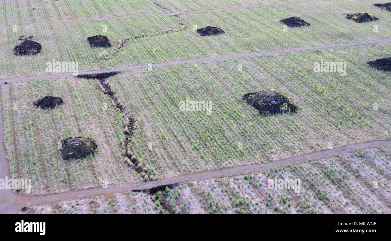 Compost piles hi-res stock photography and images - Alamy