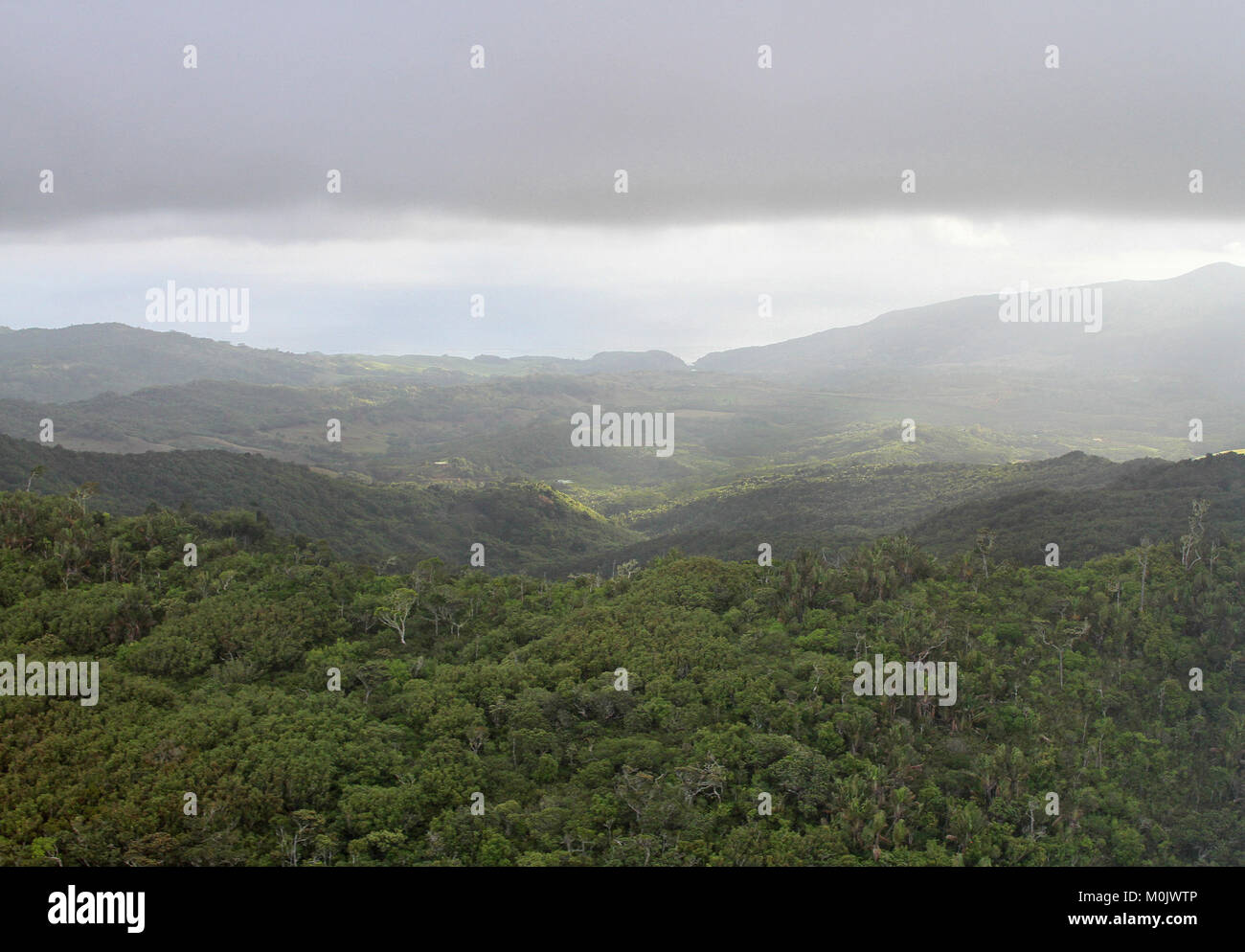 Aerial view of mountainous forest landscape from a helicopter, The ...