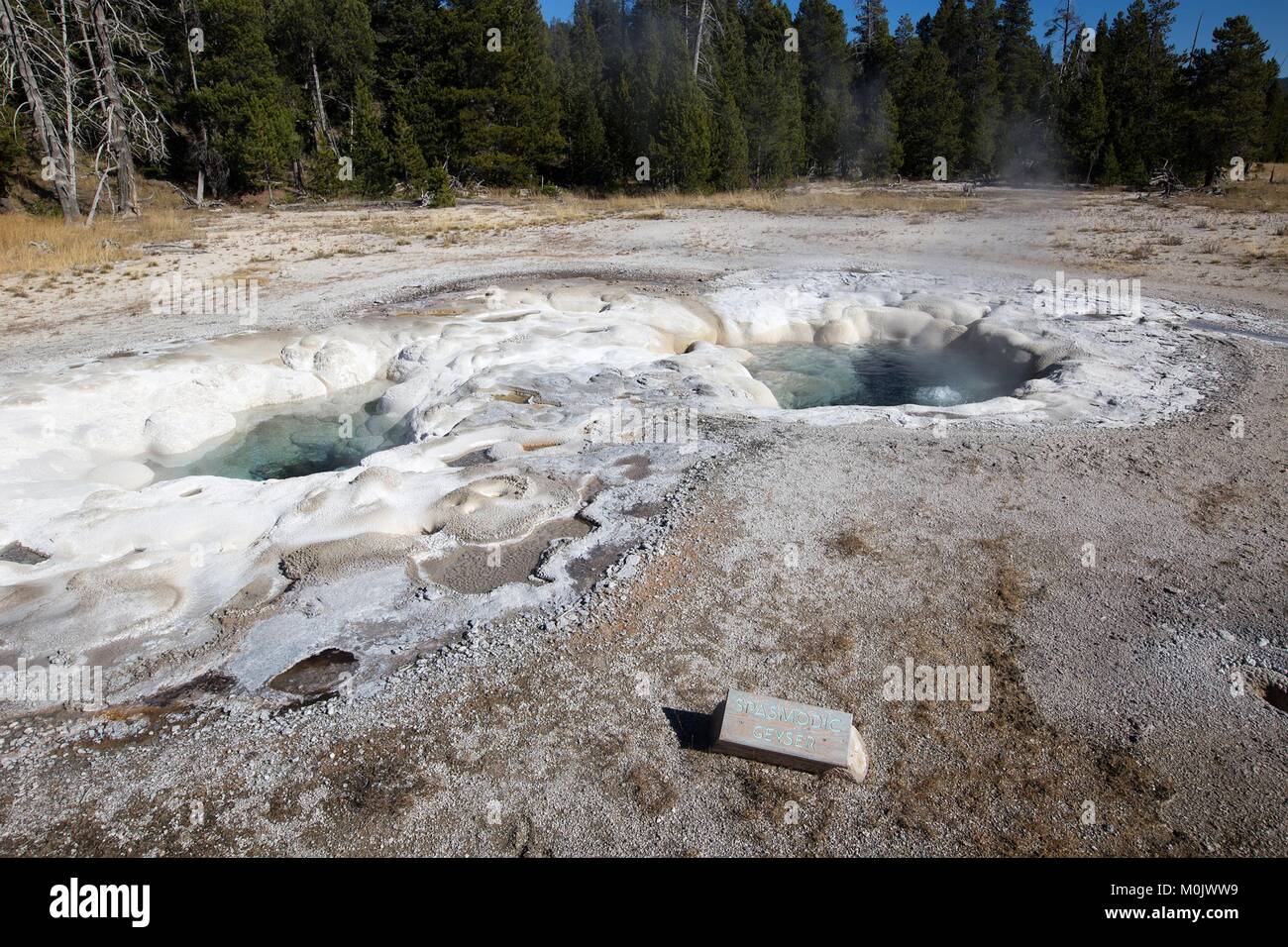 Spasmodic geyser hi-res stock photography and images - Alamy