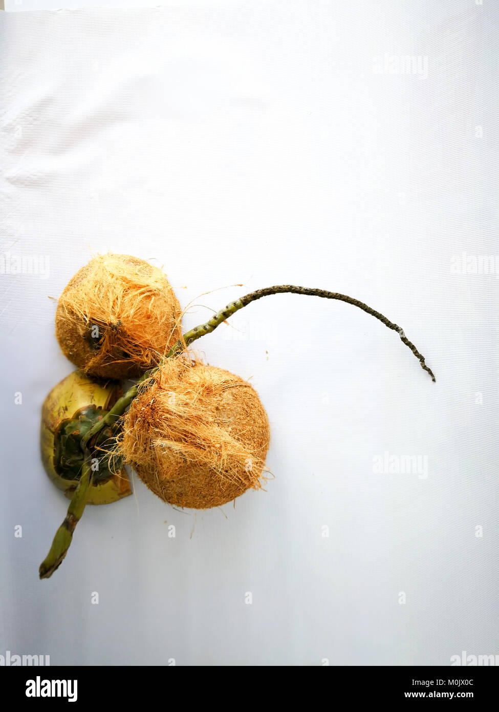 coconuts shell isolated on white background Stock Photo - Alamy