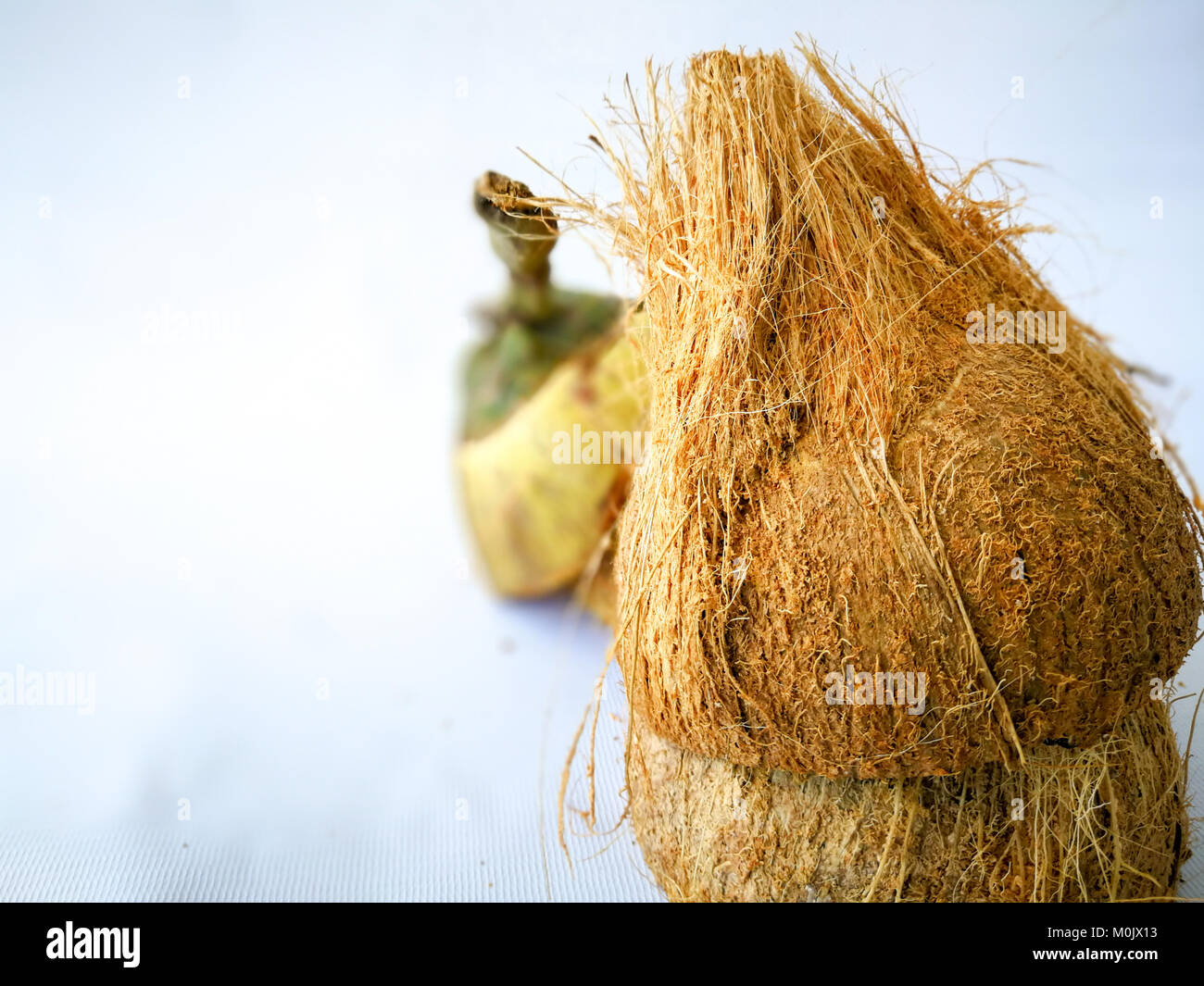 coconuts shell isolated on white background Stock Photo - Alamy
