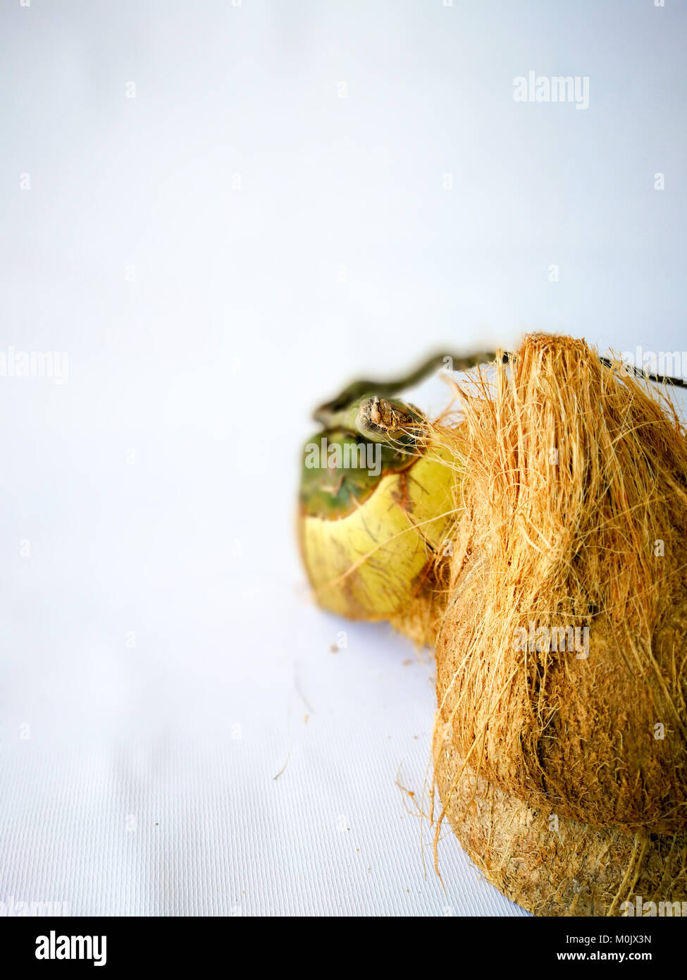 coconuts shell isolated on white background Stock Photo - Alamy