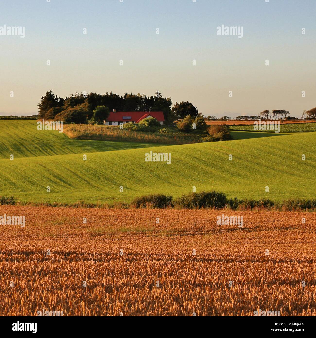 View of landscape in jylland hi-res stock photography and images - Alamy