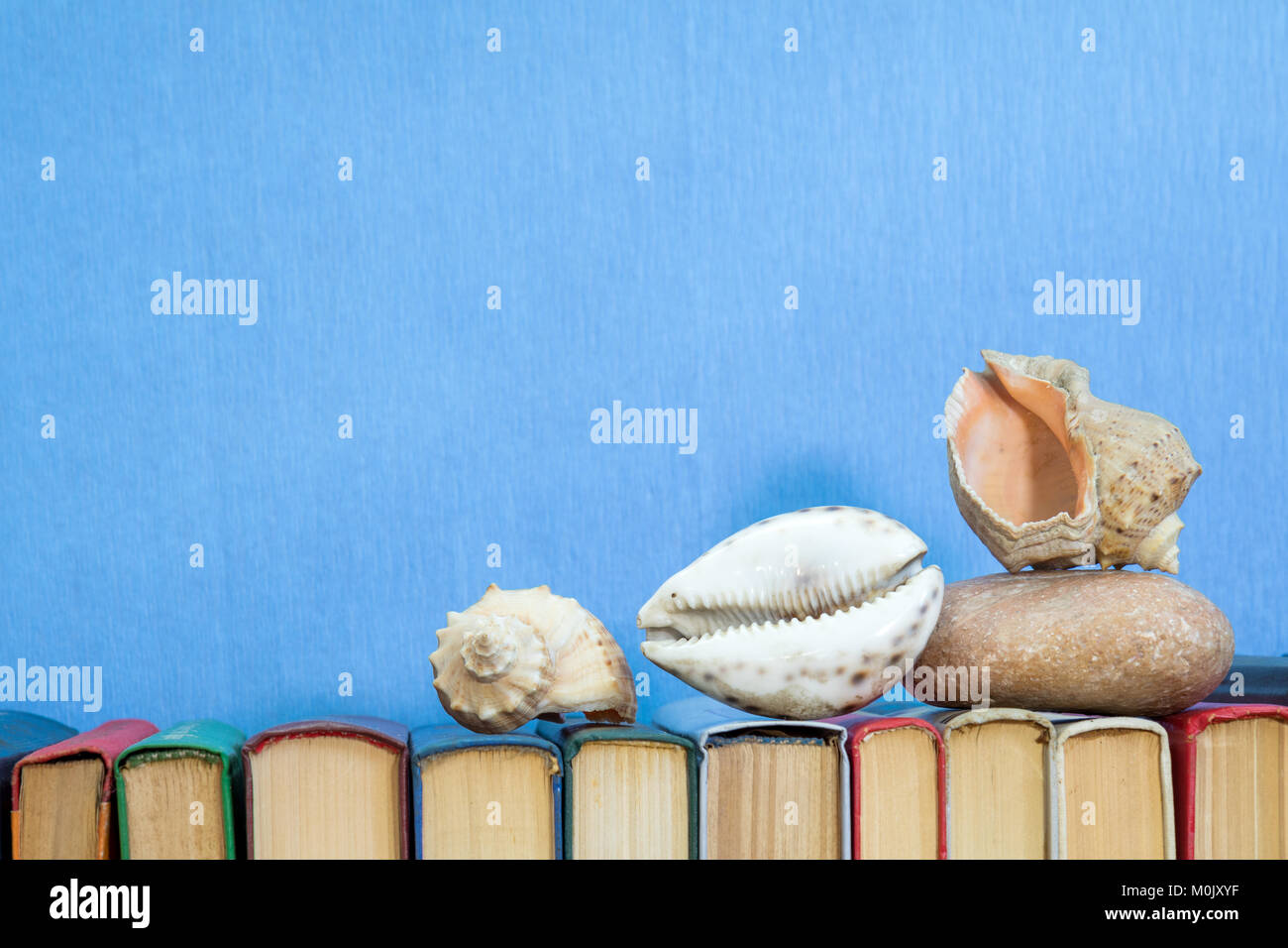 Sea shells and stones on multicolored books at light blue background ...