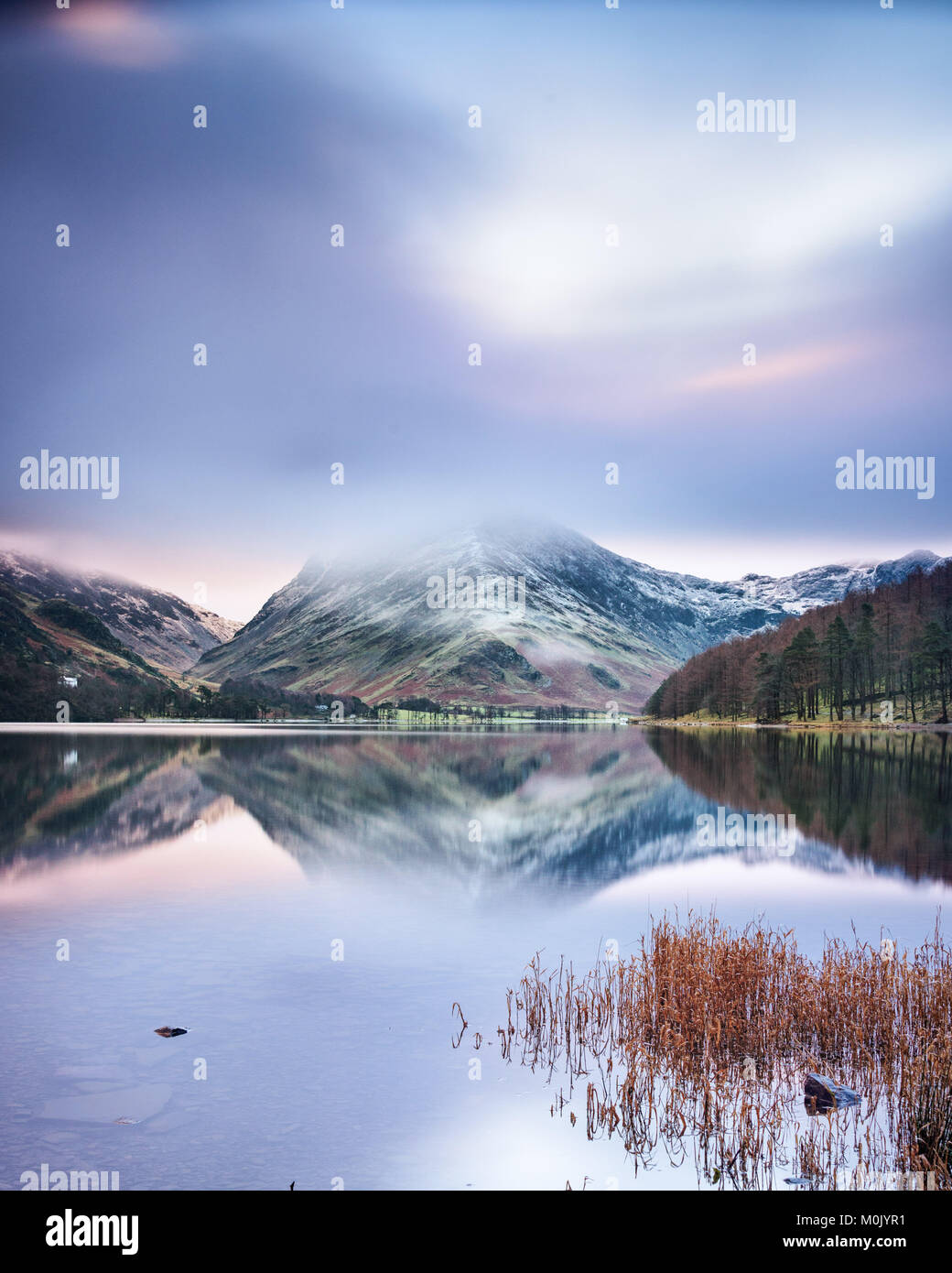 Lone tree buttermere lake district hi-res stock photography and images ...