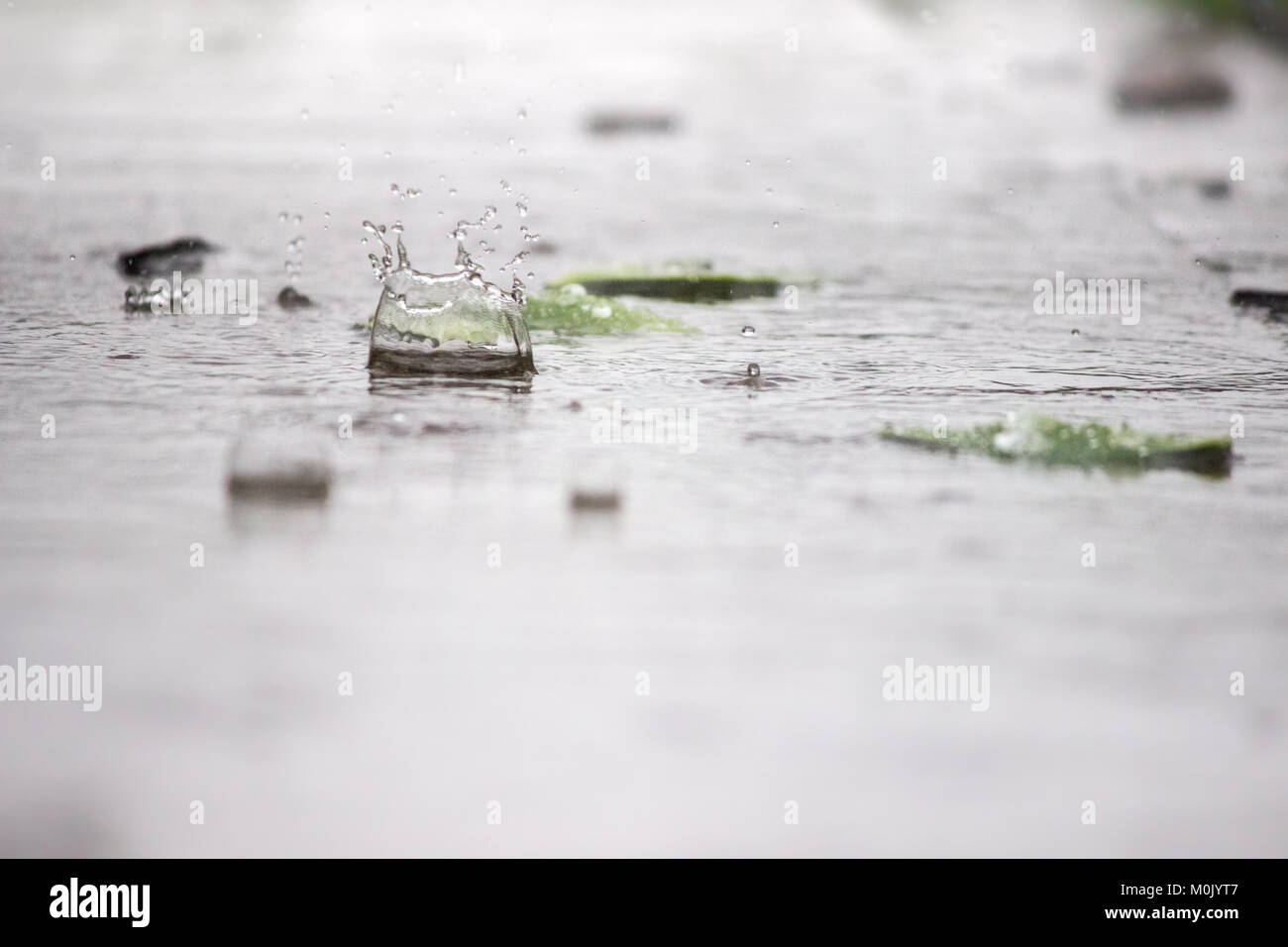 Raindrops splash in puddle hi-res stock photography and images - Alamy