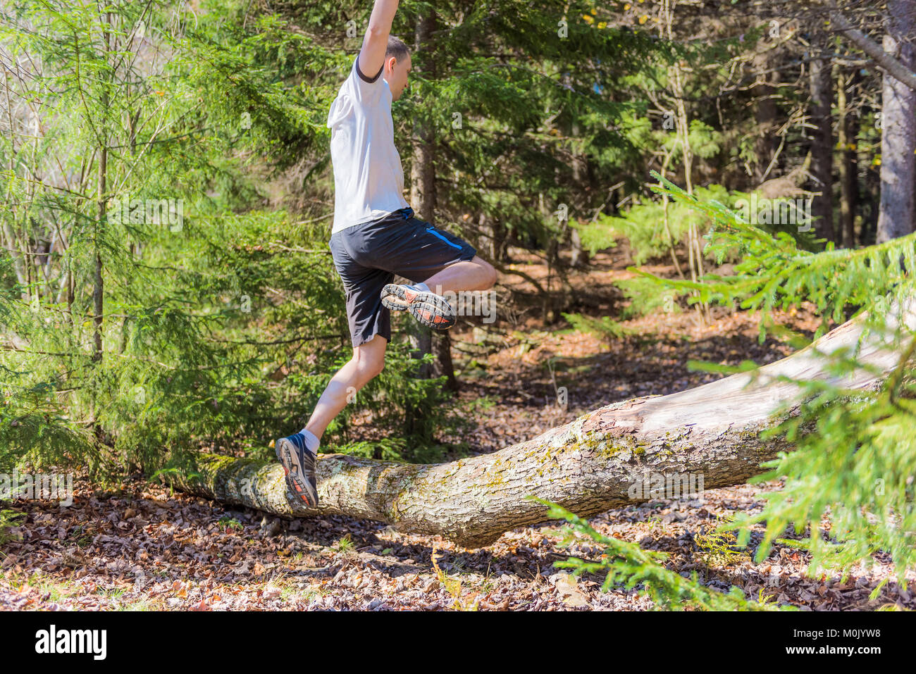 Young happy man running jogging jumping over fallen tree branch in ...