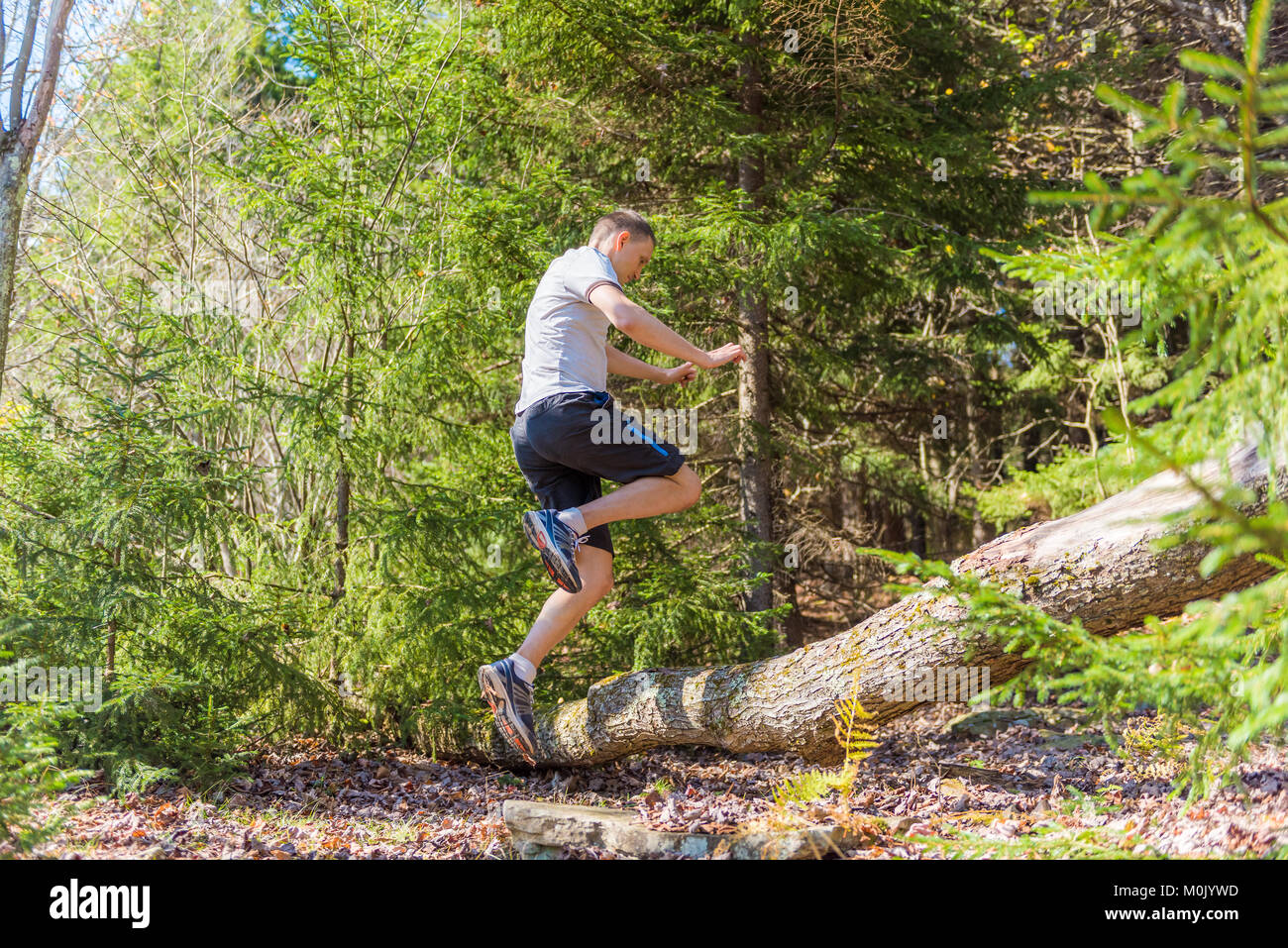 Young happy man running jogging jumping over fallen tree branch in ...