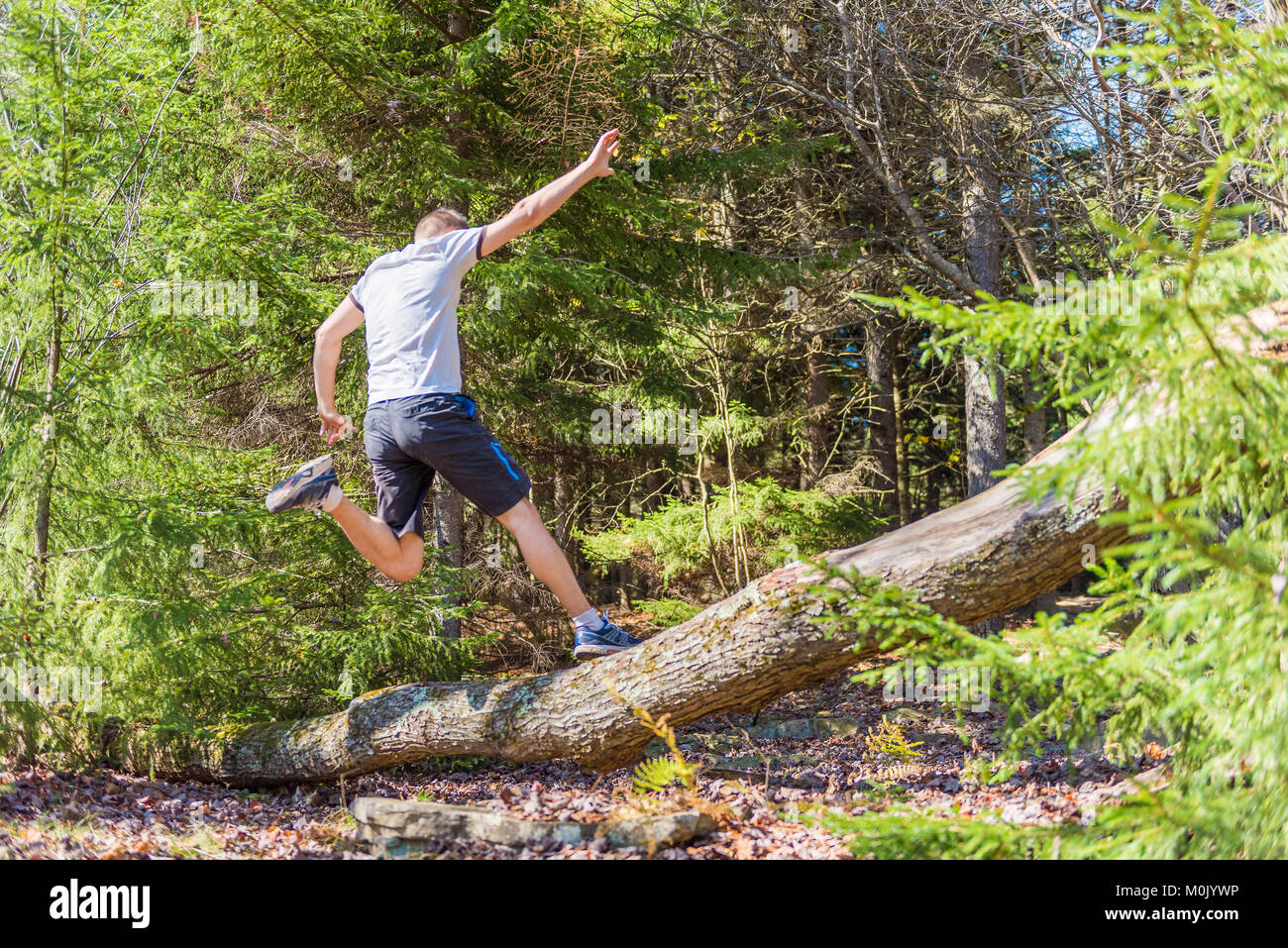 Young happy man running jogging jumping over fallen tree branch in ...