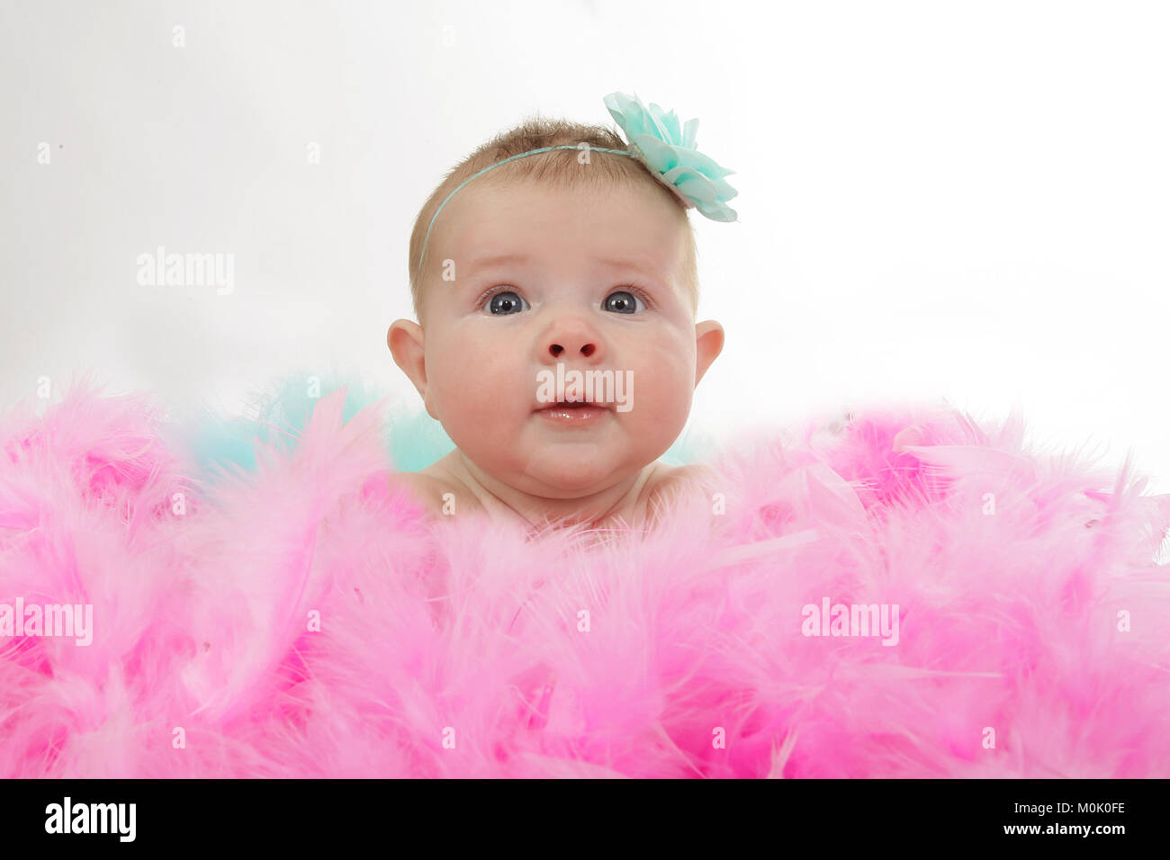 Soft baby feathers hi-res stock photography and images - Alamy