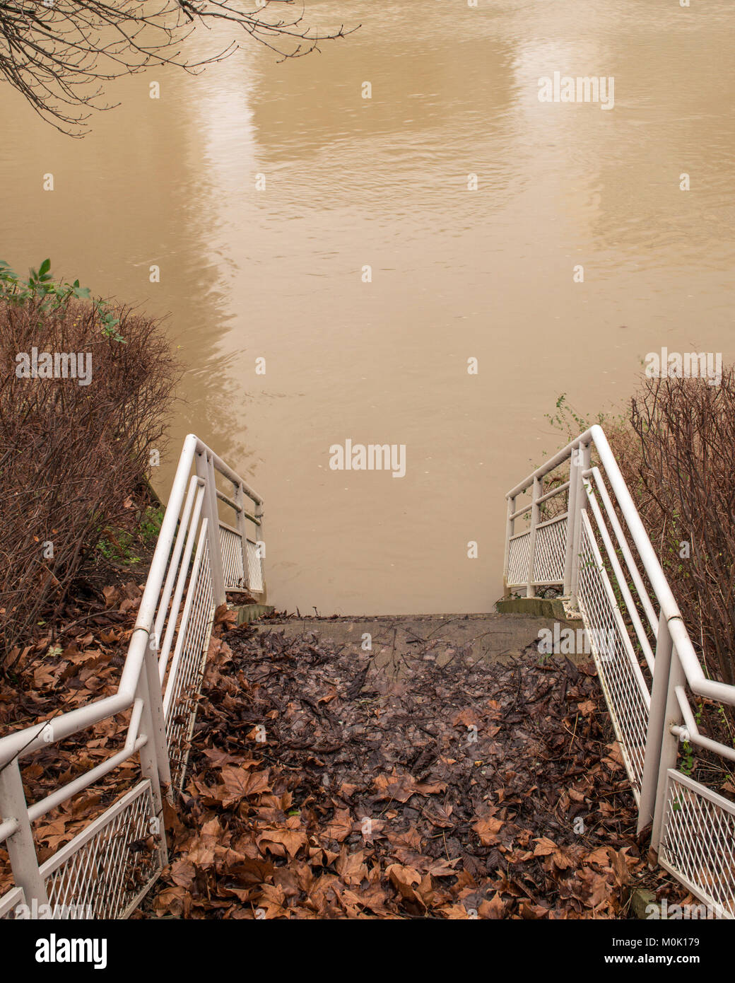 Leaf covered steps down into brown river water. Steps going no where ...