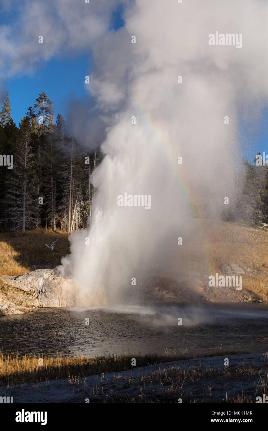 A rainbow forms as the Riverside Geyser erupts in the Upper Geyser ...