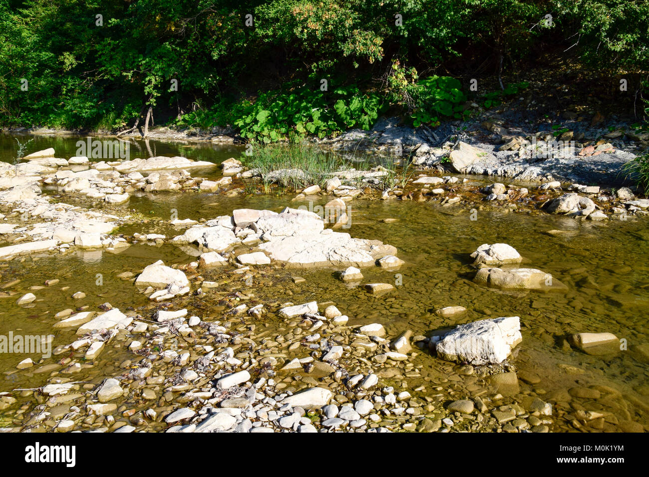 The mountain river. Shallow mountain river, water flows through the ...