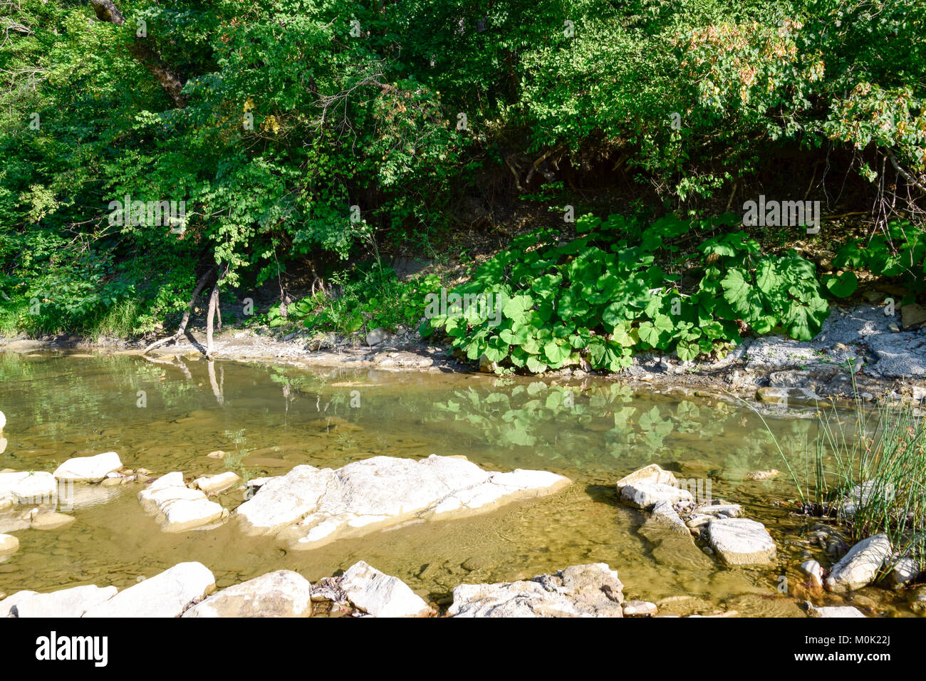The mountain river. Shallow mountain river, water flows through the ...
