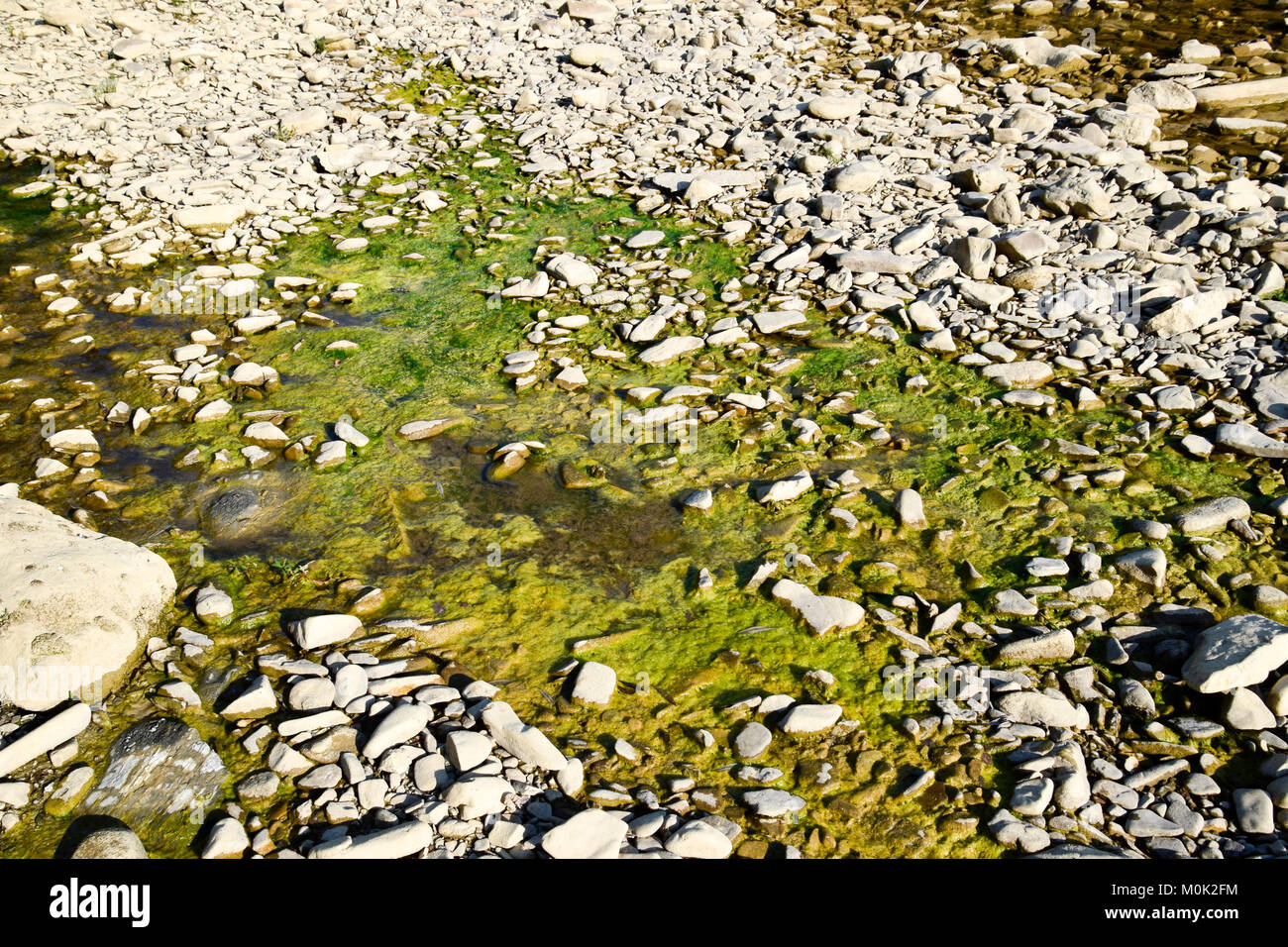 The mountain river. Shallow mountain river, water flows through the ...