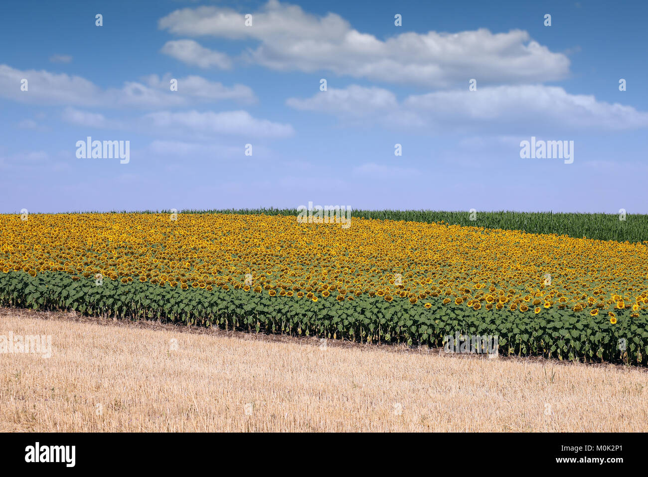 Pretty farming landscape hi-res stock photography and images - Alamy