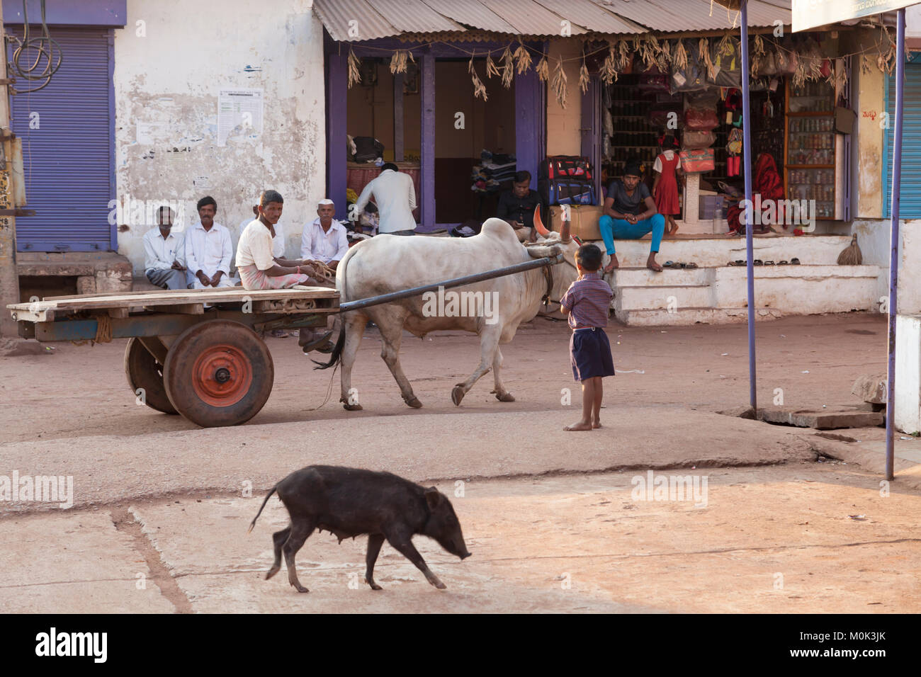 Traditional indian ox cart transport hi-res stock photography and ...