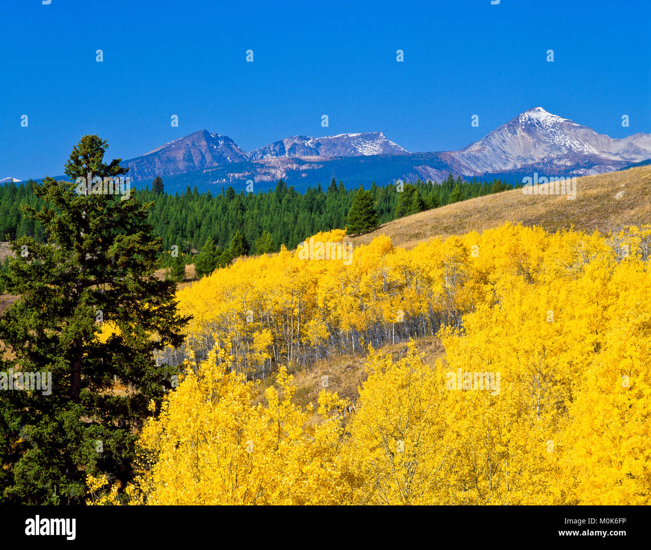 Anaconda mountain range hi-res stock photography and images - Alamy
