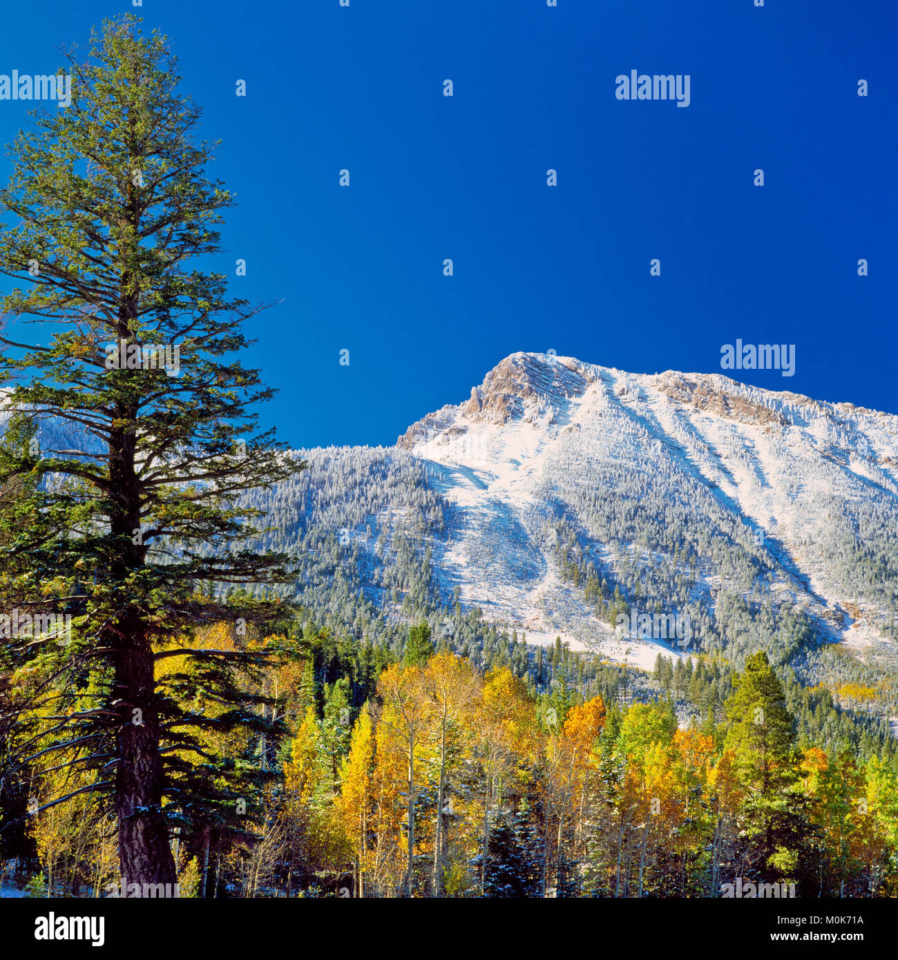 nemesis mountain in the centennial range at red rock pass near lakeview ...