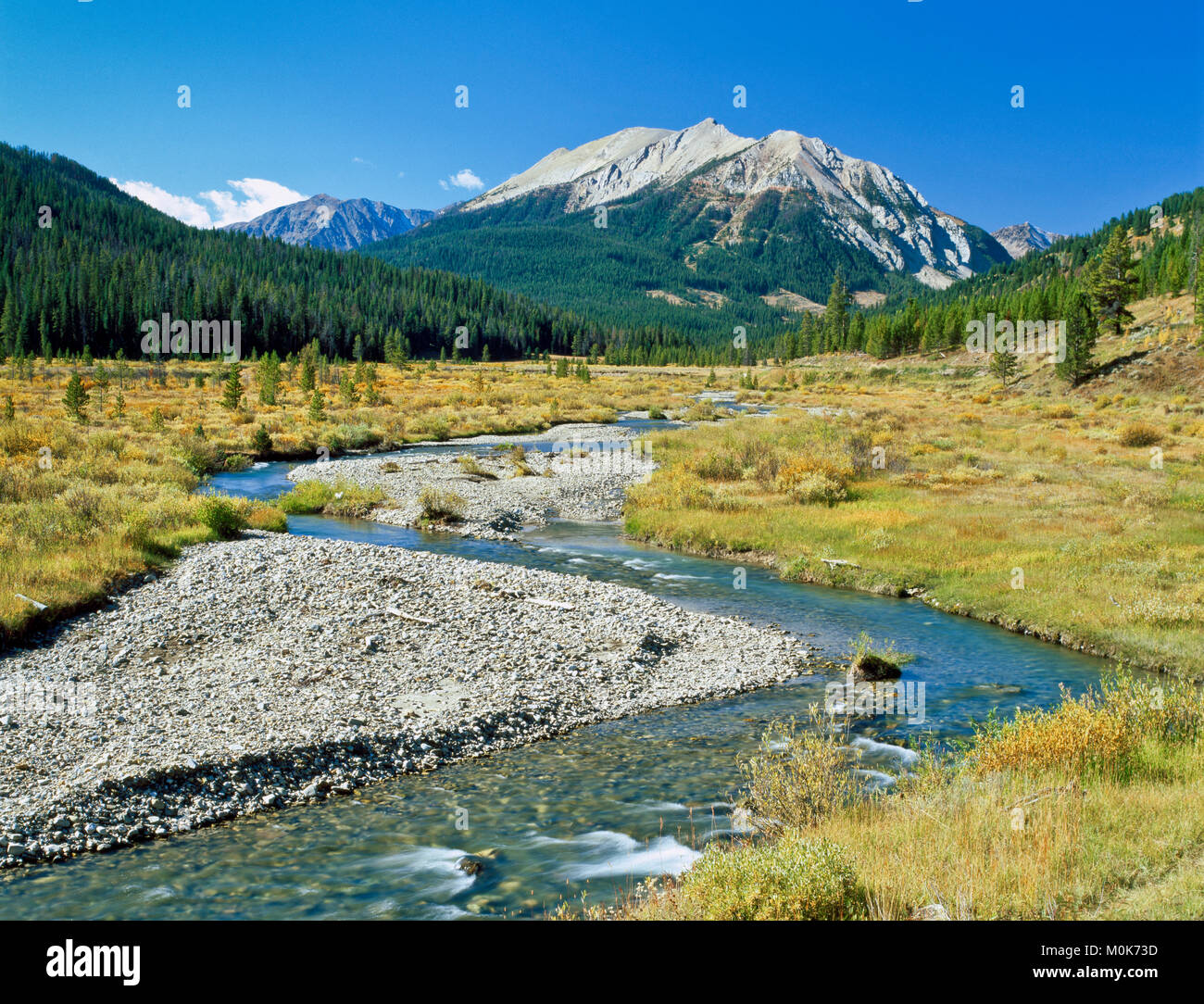 Madison taylor hi-res stock photography and images - Alamy