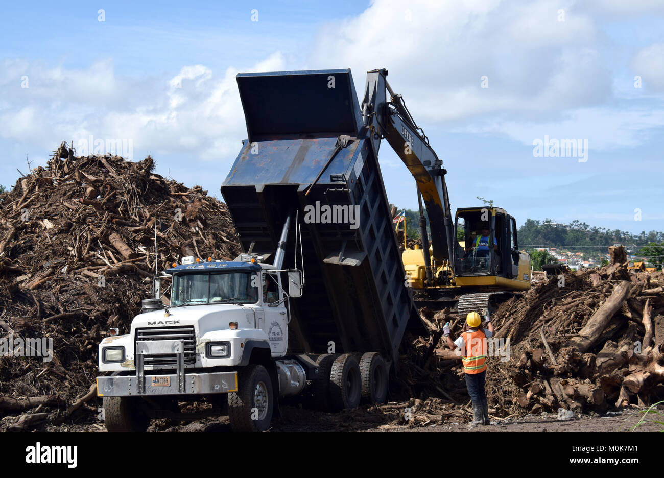 Mounds of vegetative debris are collected and sorted by U.S. Army Corps ...