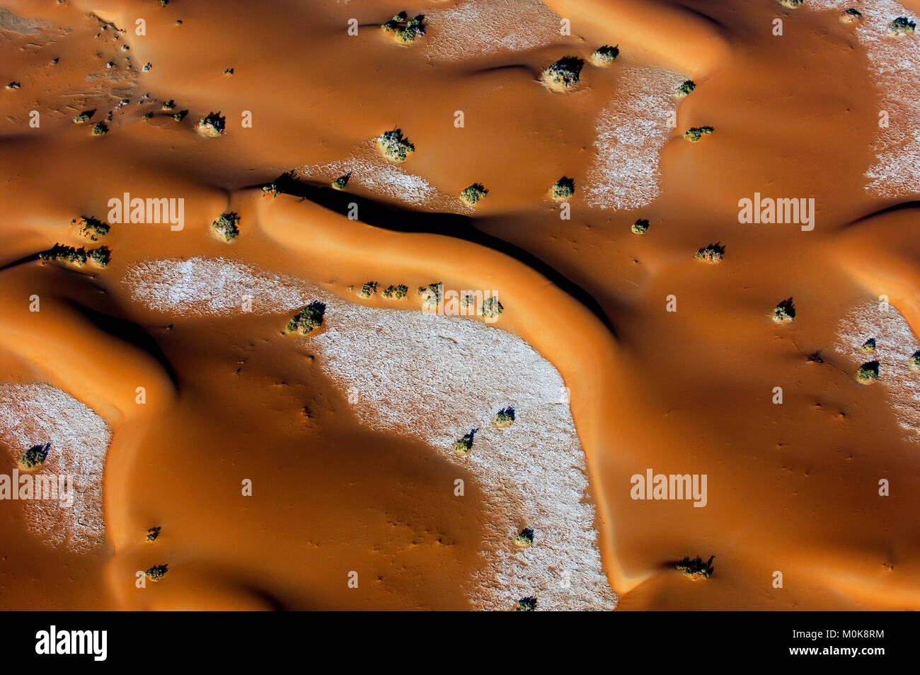 South Arabian High Resolution Stock Photography and Images - Alamy