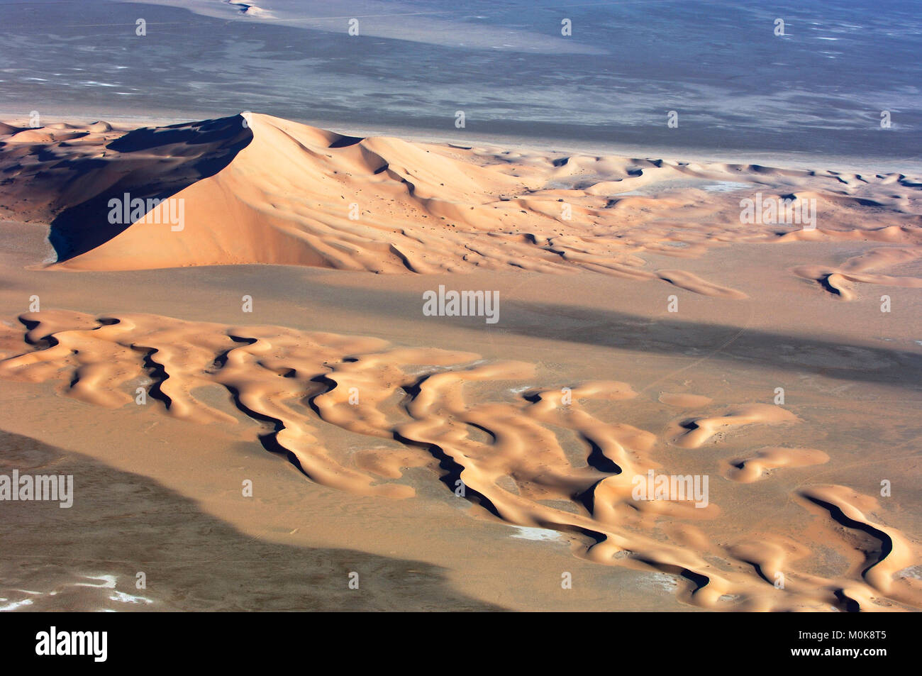 Saudi arabia desert birds hi-res stock photography and images - Alamy
