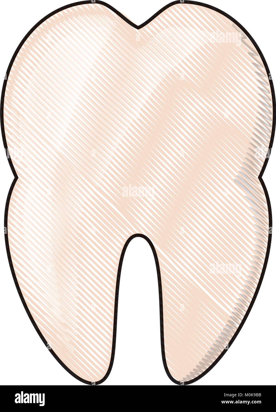 molar icon image Stock Vector Image & Art - Alamy