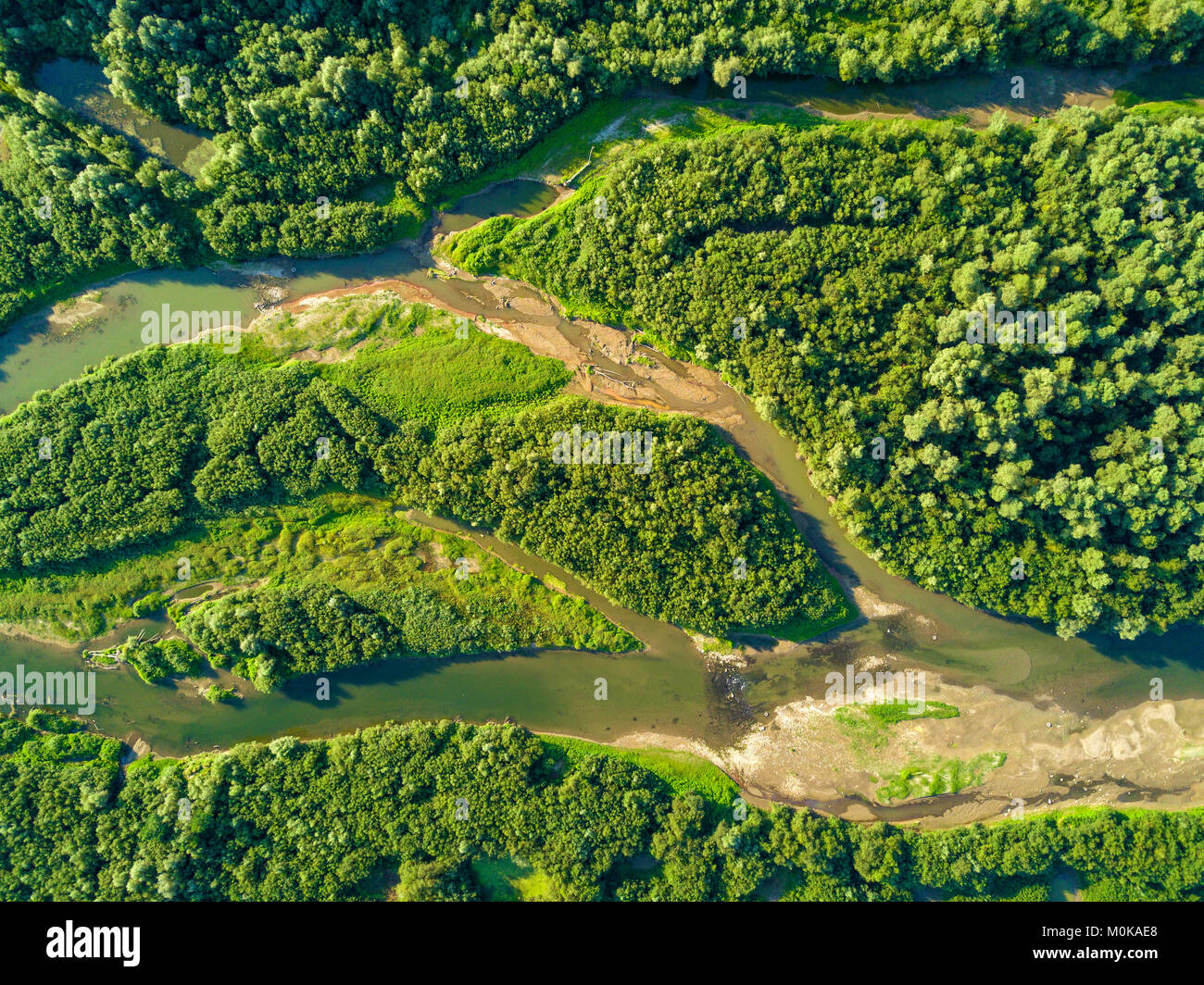 Aerial view of forest and river Stock Photo - Alamy