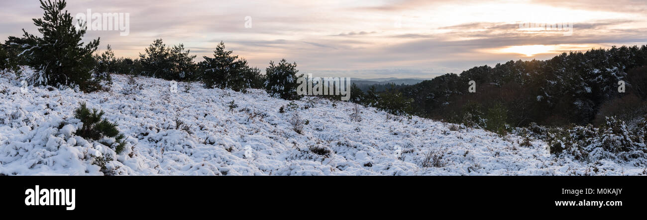 Snow at Hindhead common Stock Photo - Alamy