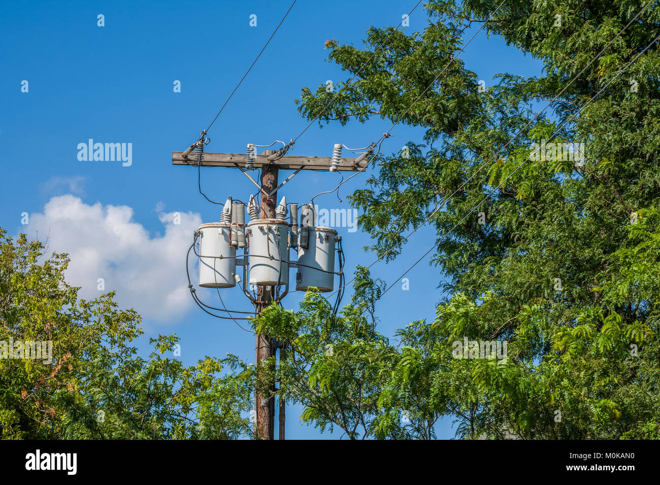Overhead power lines and transformers in a blue sky with trees ...