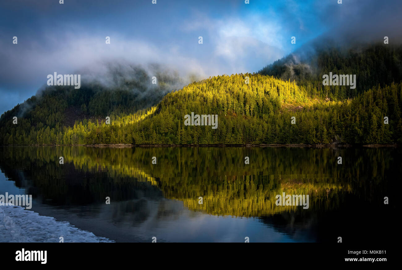 Landscape of the forested coastline and tranquil ocean reflecting the ...