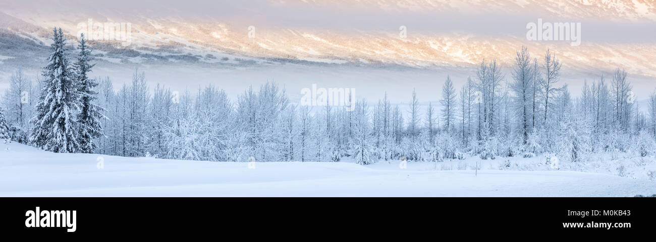 Warm afternoon sunlight bathes the distant mountains in-between low ...