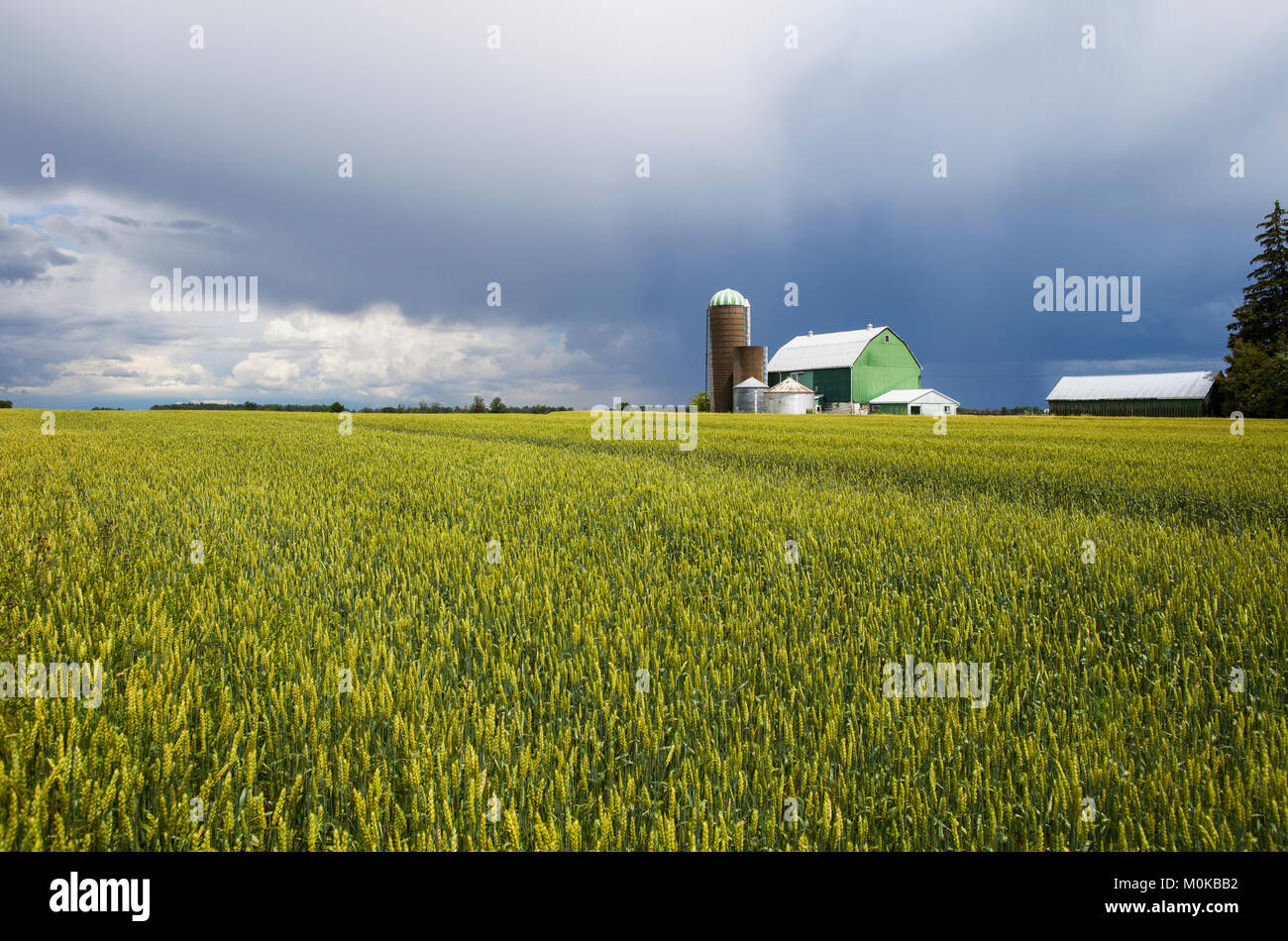 Farm ontario field hi-res stock photography and images - Alamy