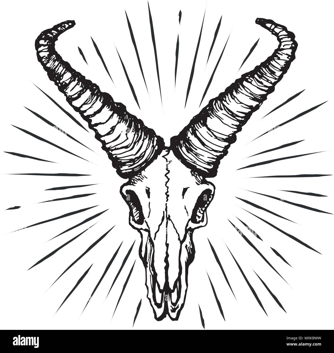 Aries goat Cut Out Stock Images & Pictures - Alamy