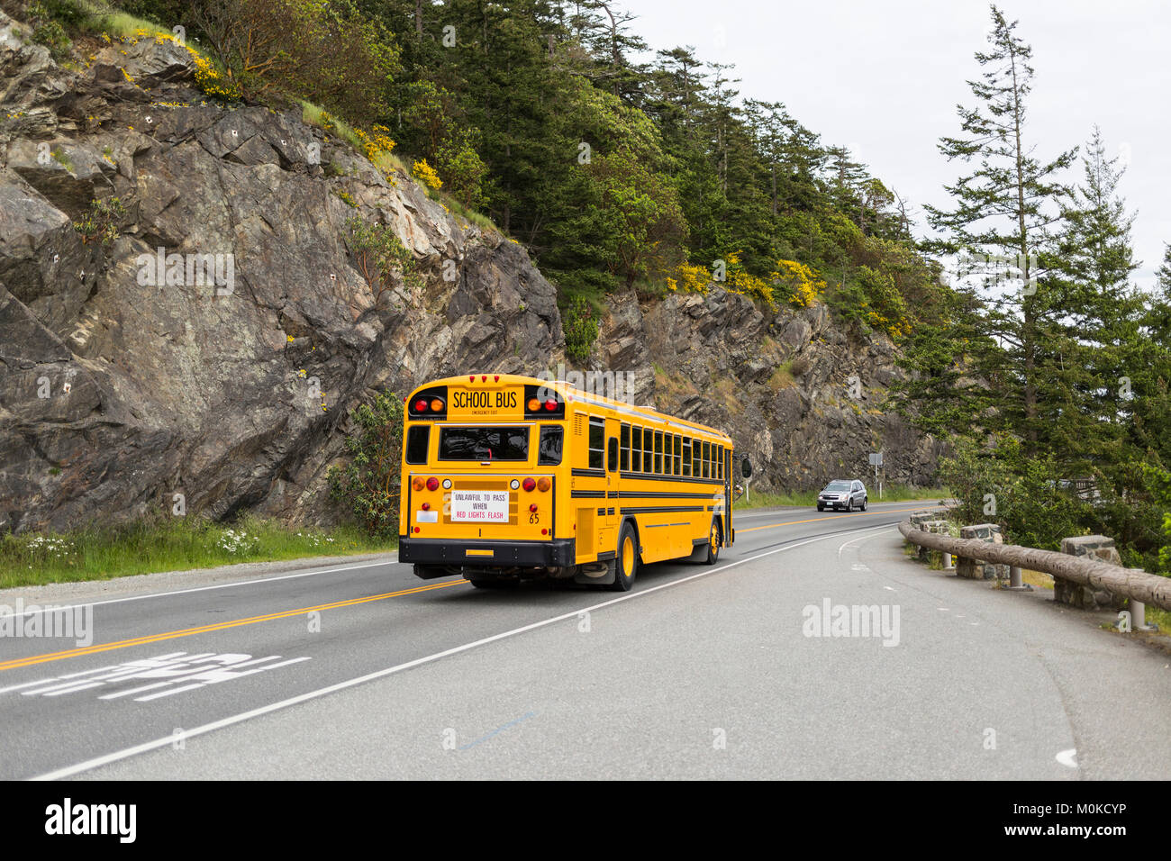 School bus on bridge hi-res stock photography and images - Alamy