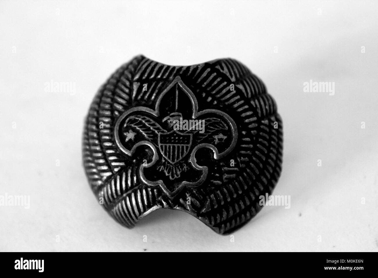 Eagle scout hi-res stock photography and images - Alamy