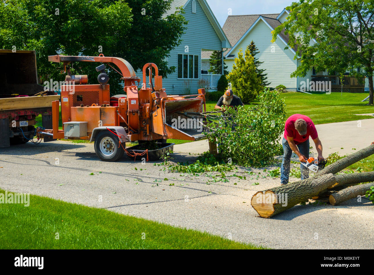 Landscaping by cutting down clearing and removing trees from a ...