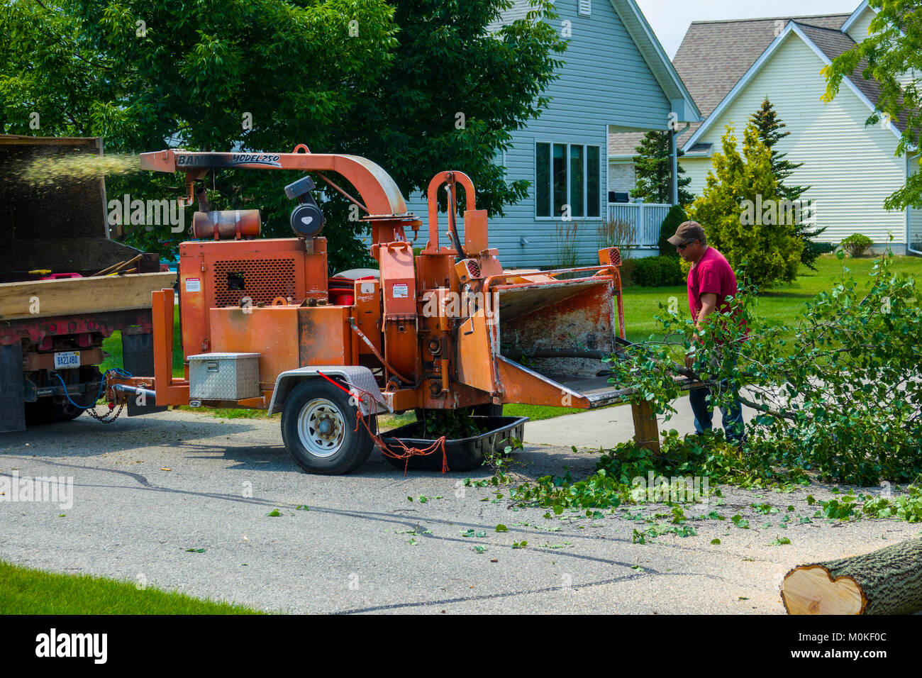 Landscaping by cutting down clearing and removing trees from a ...