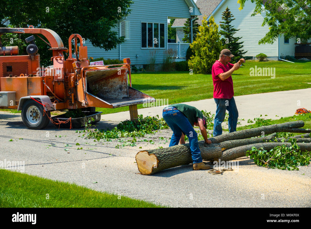 Landscaping by cutting down clearing and removing trees from a ...