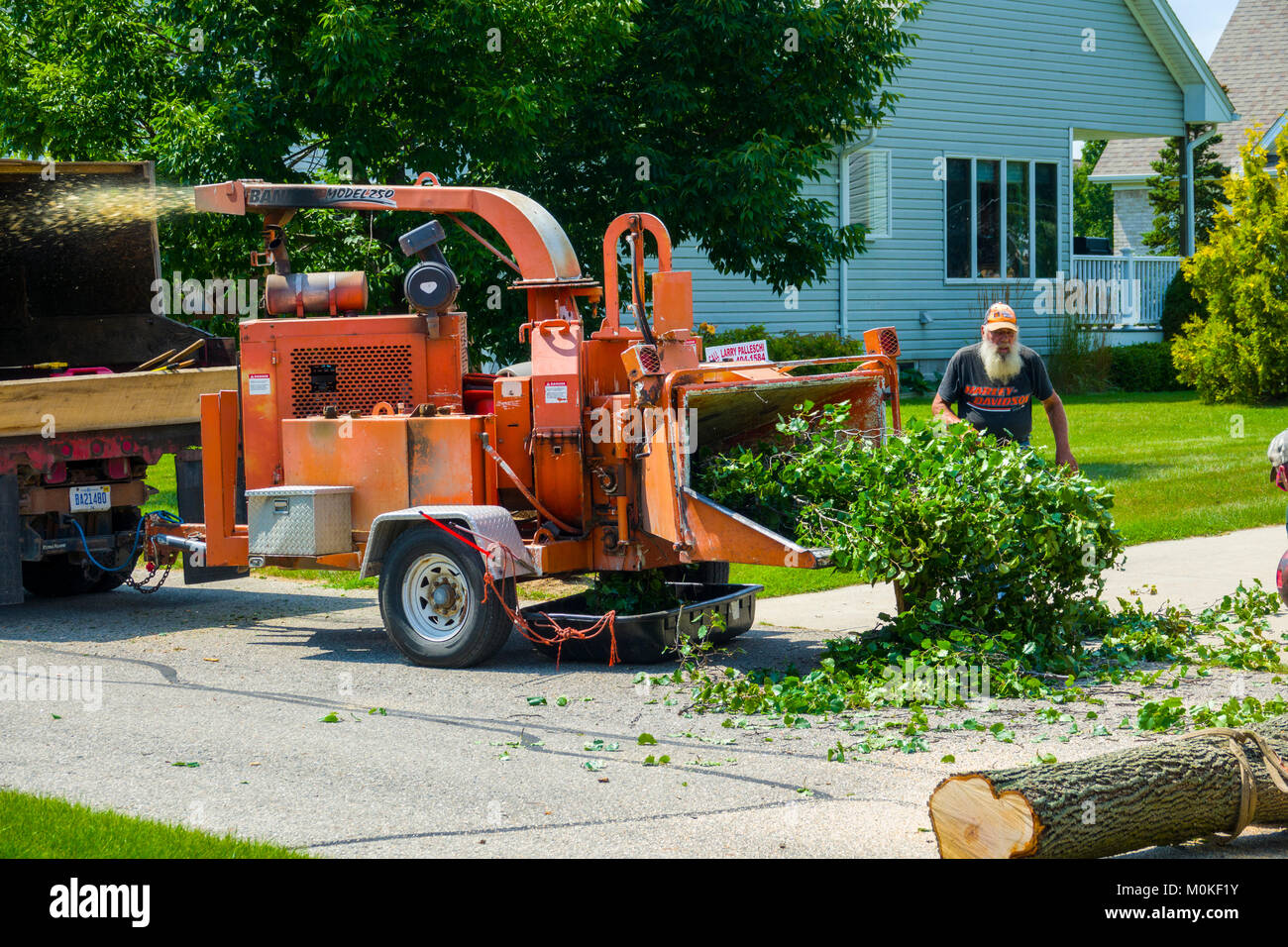 Landscaping by cutting down clearing and removing trees from a ...