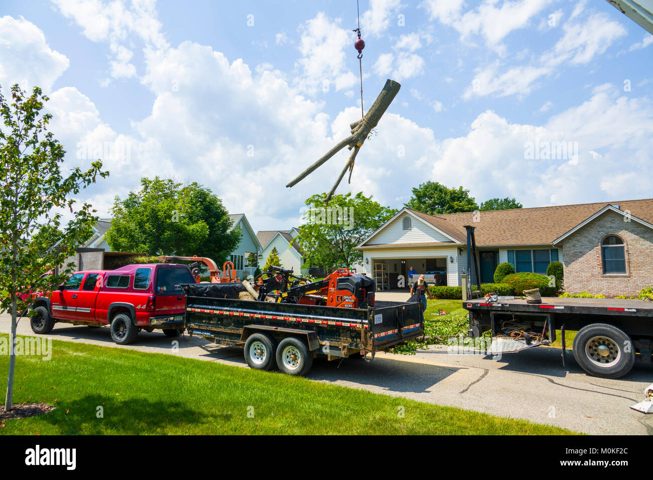 Landscaping by cutting down clearing and removing trees from a ...