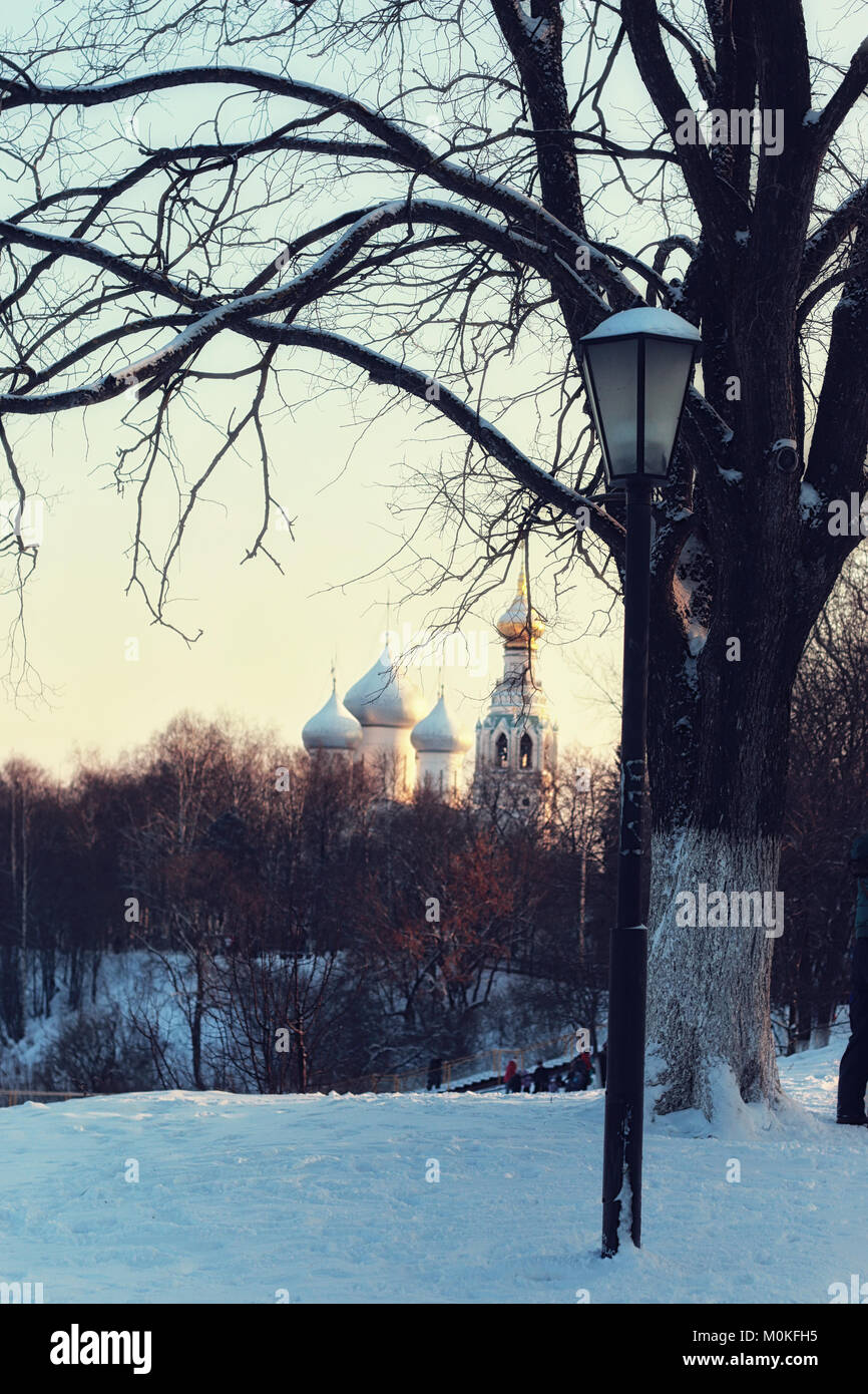 Winter street light tree Stock Photo - Alamy