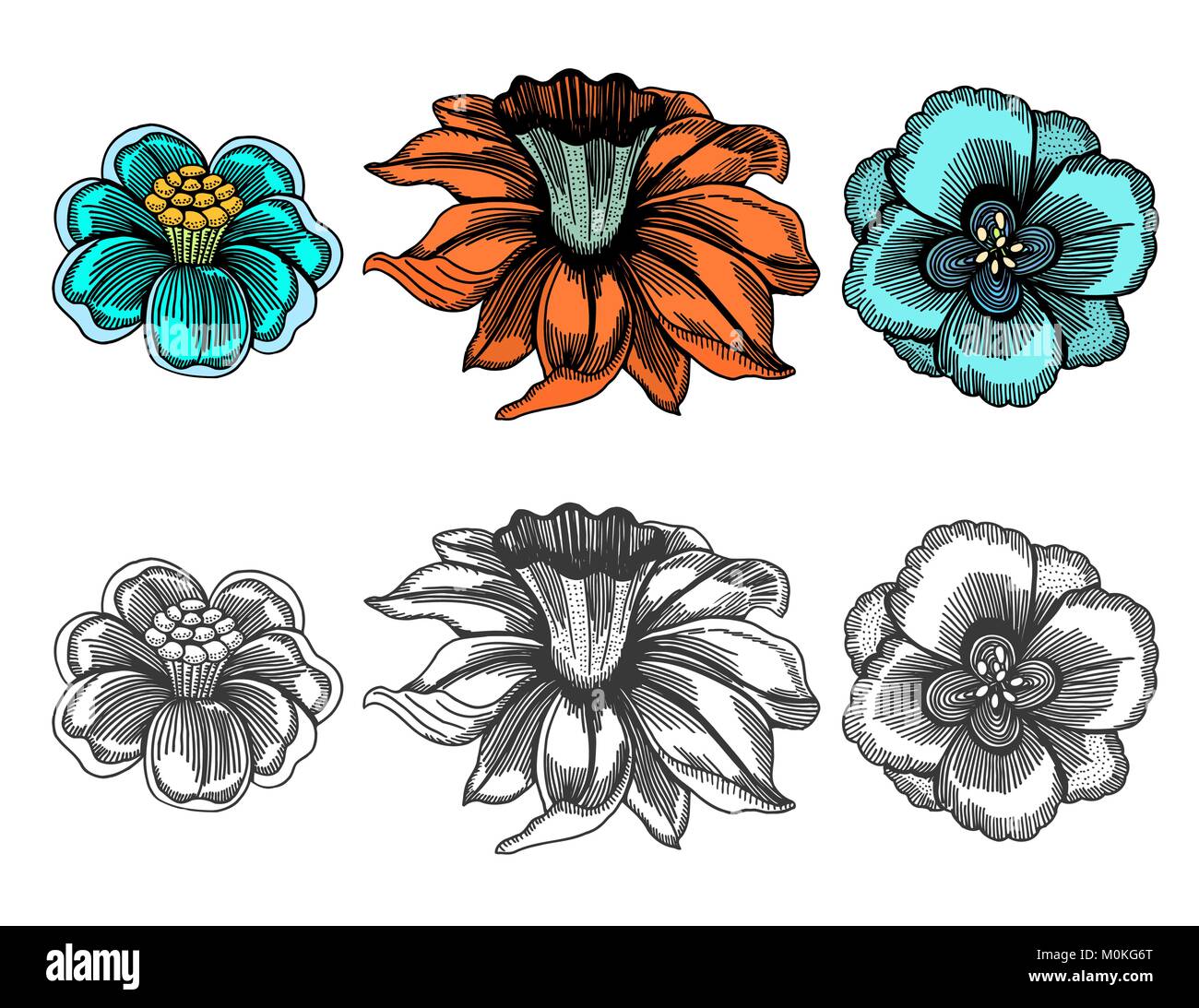 Vintage vector set of hand-drawn flowers in old-style engraving ...