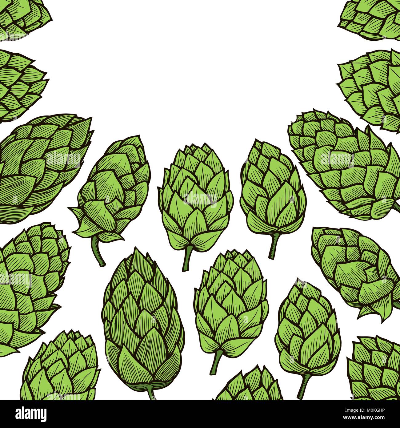 background of Hop hand drawn in artistic engraved style. Colored vector ...