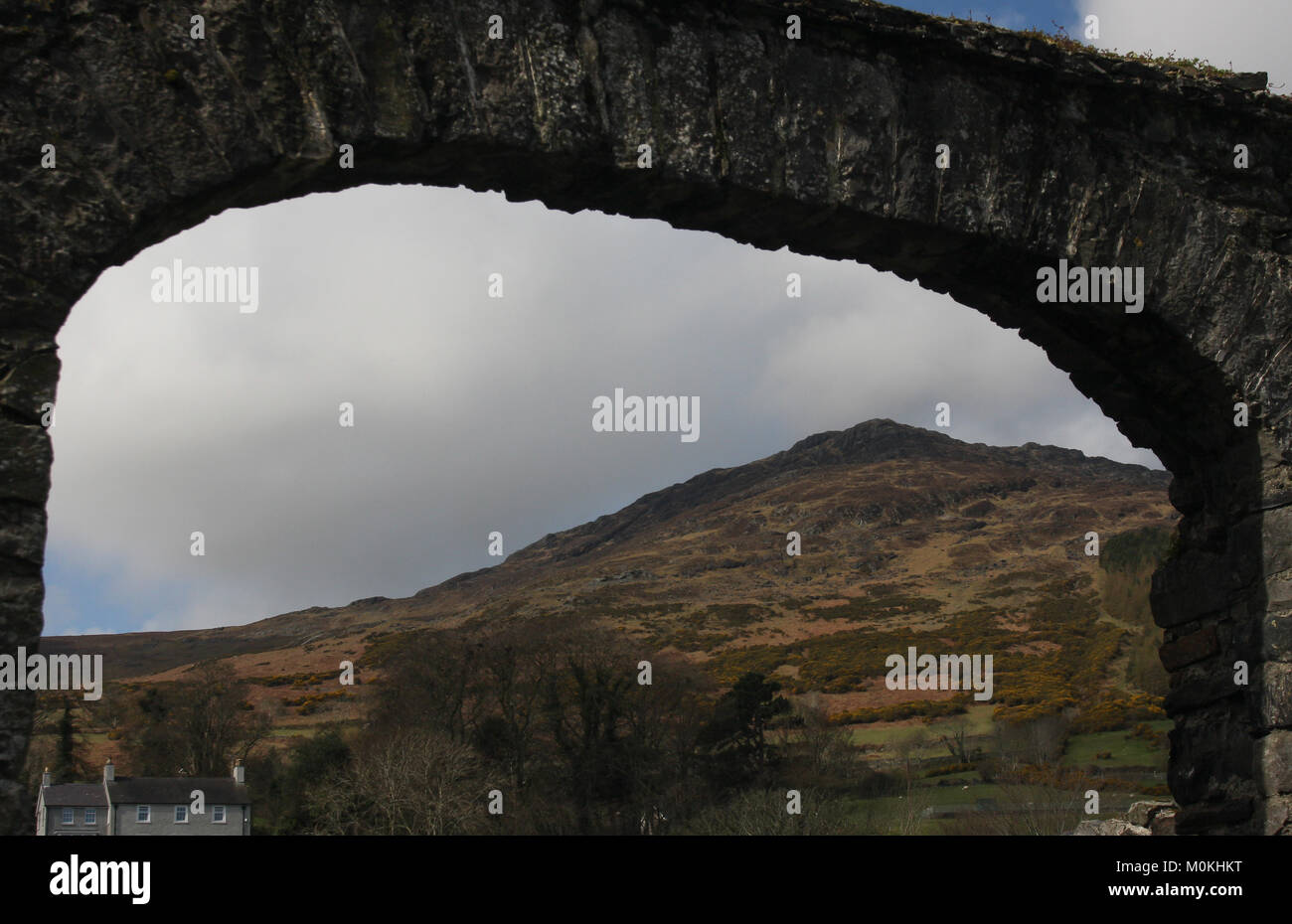 Slieve Foy viewed from Carlingford, County Louth Ireland Stock Photo ...